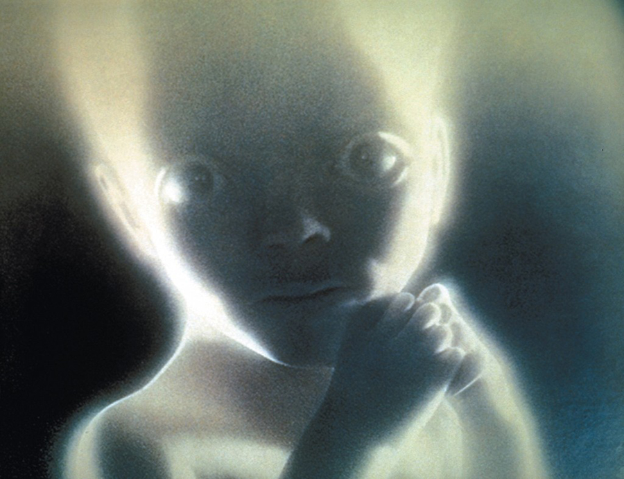 24 Best and Worst Movie Alien Visitors | Rotten Tomatoes