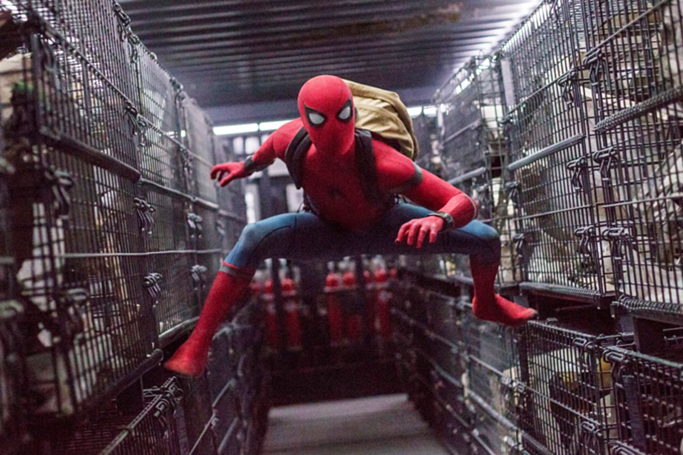 Heroes Guide to the Marvel Cinematic Universe | Rotten Tomatoes