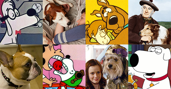Ranking 30 of TV’s Best Dogs — Lassie, Eddie, Scooby Doo, Wishbone, and ...