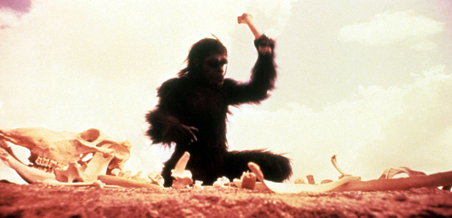 24 Great Apes From the Movies | Rotten Tomatoes