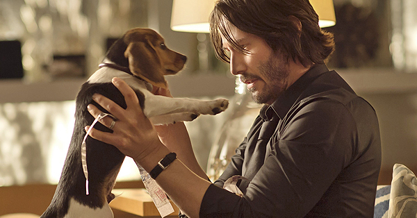 Zen Boogeyman: How John Wick Became an Instant Cult Classic | Rotten ...