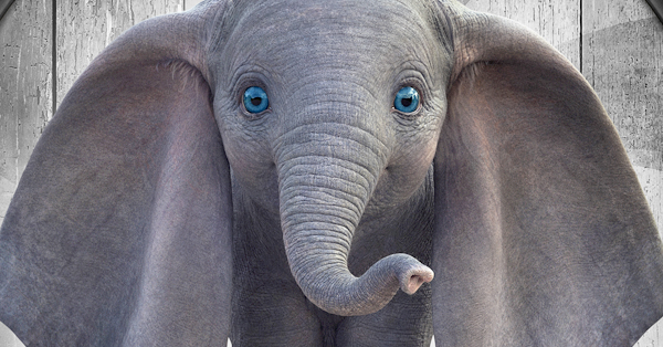 Dumbo Is Visually Impressive but Falls a Little Flat | Rotten Tomatoes
