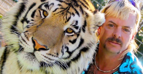 20 Things To Watch If You Loved Tiger King | Rotten Tomatoes