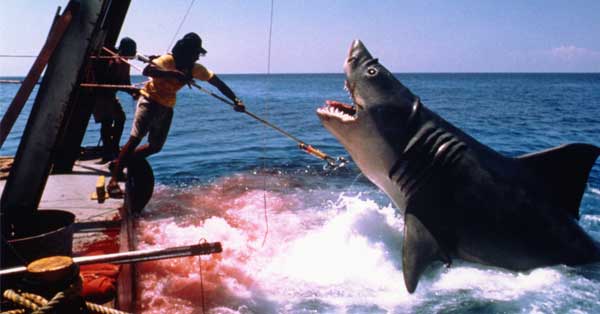 Best Shark Movies Ranked by Tomatometer | Rotten Tomatoes