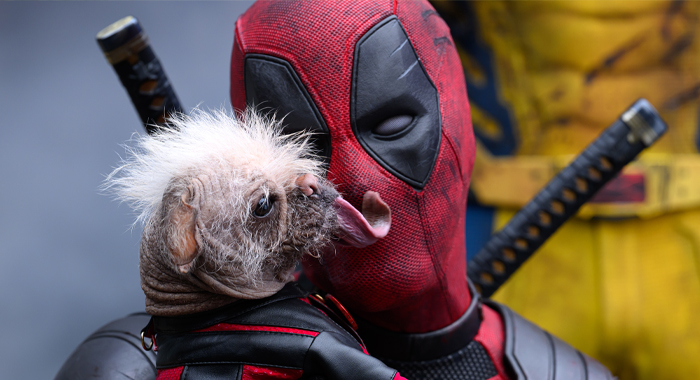 Deadpool & Wolverine First Reviews: A Bloody, Hilarious Good time ...