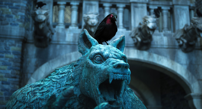 Wednesday: Season 2 First Reviews: “Mayhem in the Best Way Possible ...
